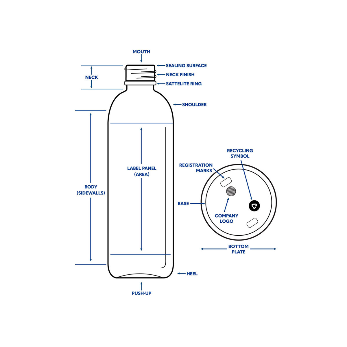 The Anatomy of a Bottle: Comar’s Comprehensive Guide - Comar